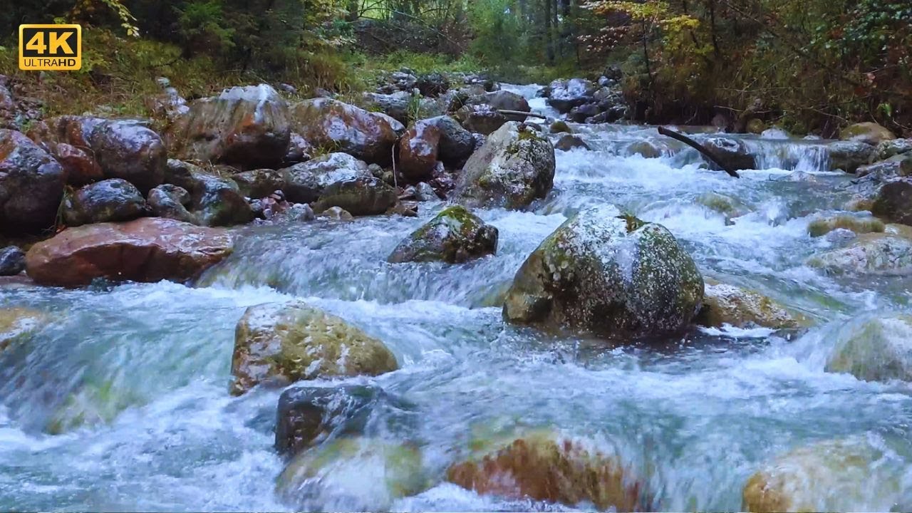 Gentle Trickling Water Sounds with river stream NO MUSIC 3 Hours - YouTube