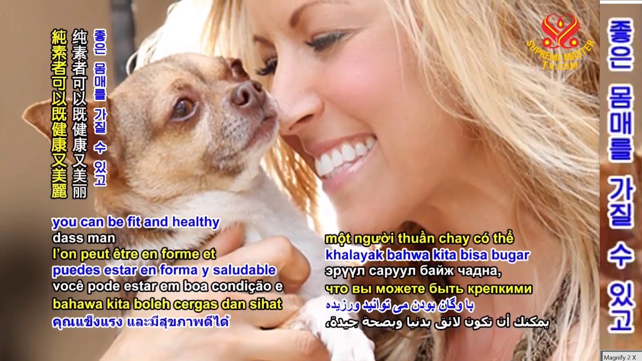 엘라 매거스- 비건 운동 전문가 & 트레이너 Vegan Fitness Trainer- Ella Magers - YouTube