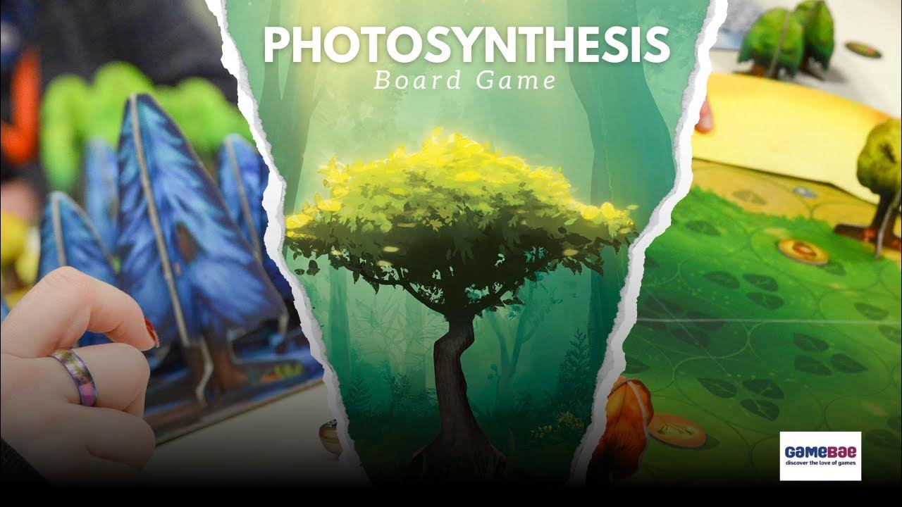 Photosynthesis Board Game - YouTube