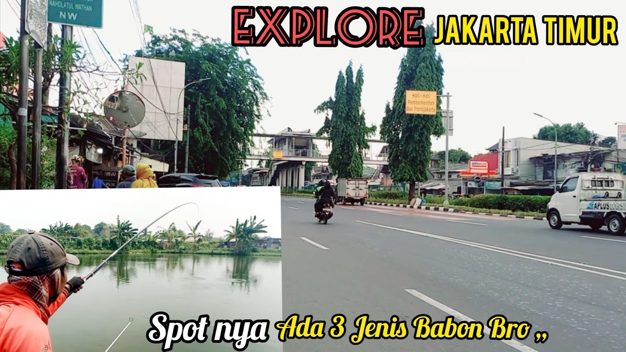 Info Rute Spot Mancing Terbaru!!! Ada 3 Jenis Ikan Babon || Empang Pak ...