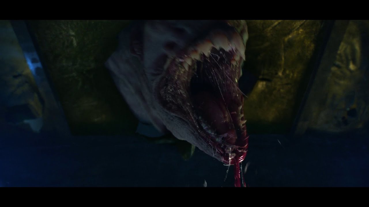 SHADOW AND BONE... PASSING THE FOLD WITH CONDUCTOR... BEST SHOOTING ...