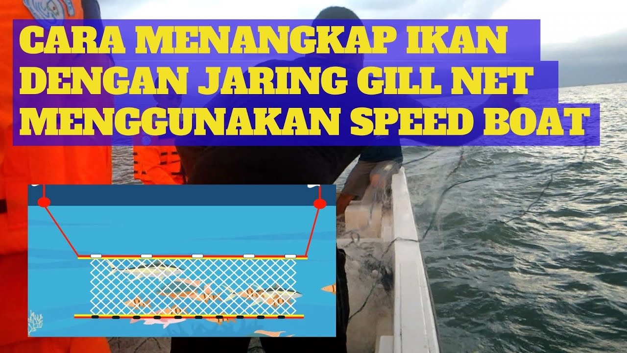 Cara Menangkap Ikan Dengan Jaring Gill Net Menggunakan Speed Boat - YouTube