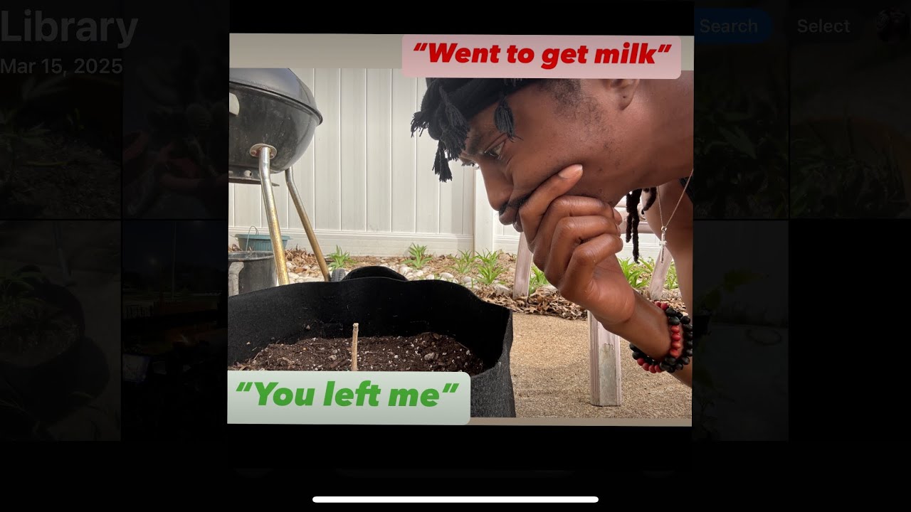 How to grow weed without lights Pt 2: Lessons Learned & Challenges ...