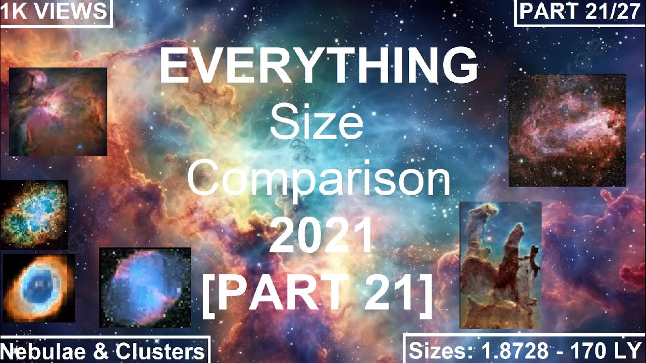 EVERYTHING Size Comparison 2021 [PART 21] - YouTube
