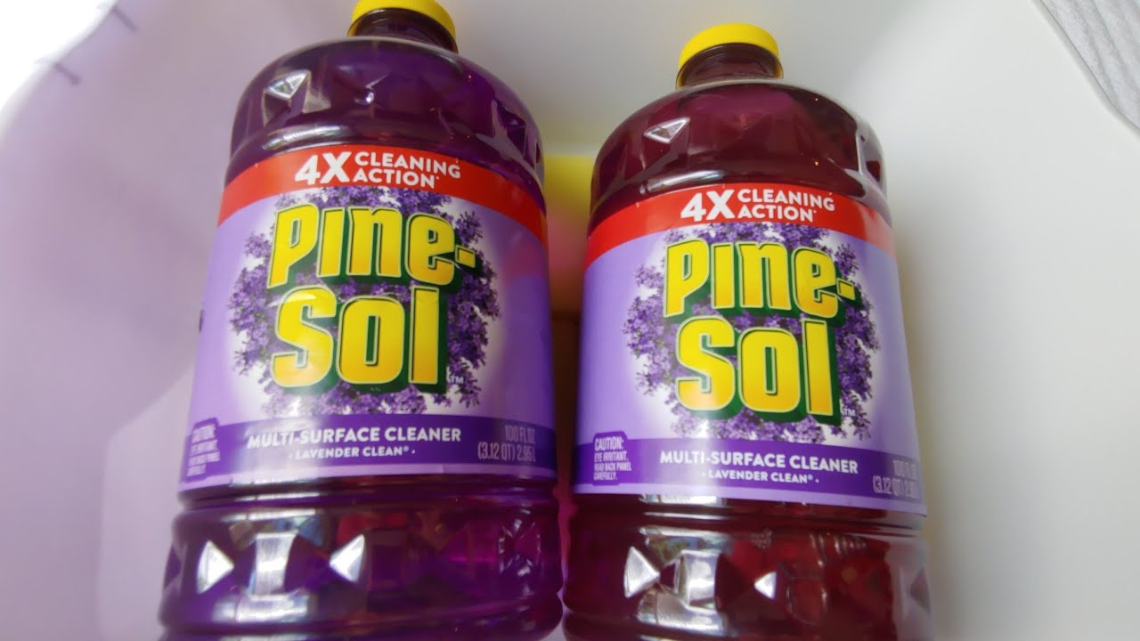 Gallons Lavender Pine-Sol Sponge Squeezing ASMR - YouTube