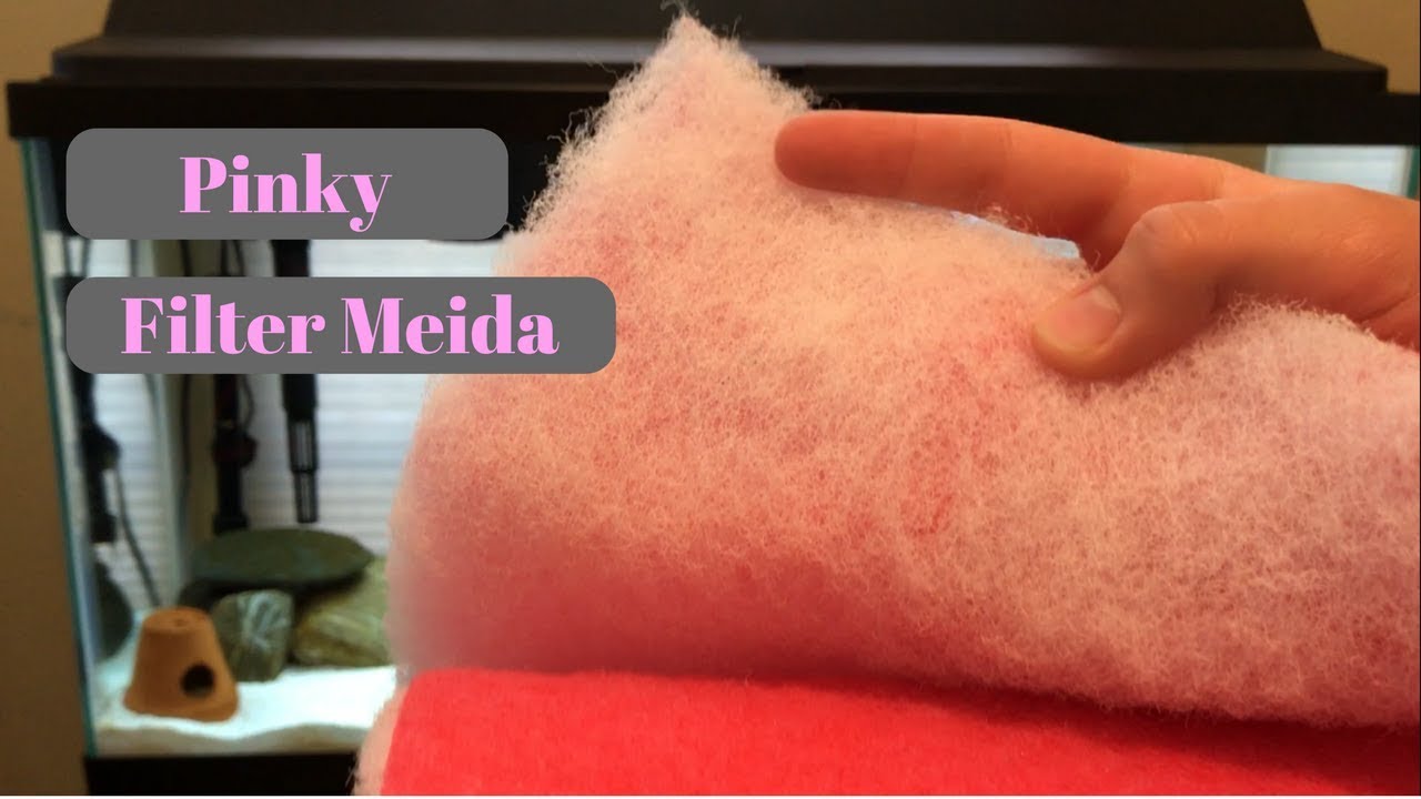 Pinky Filter Media - YouTube