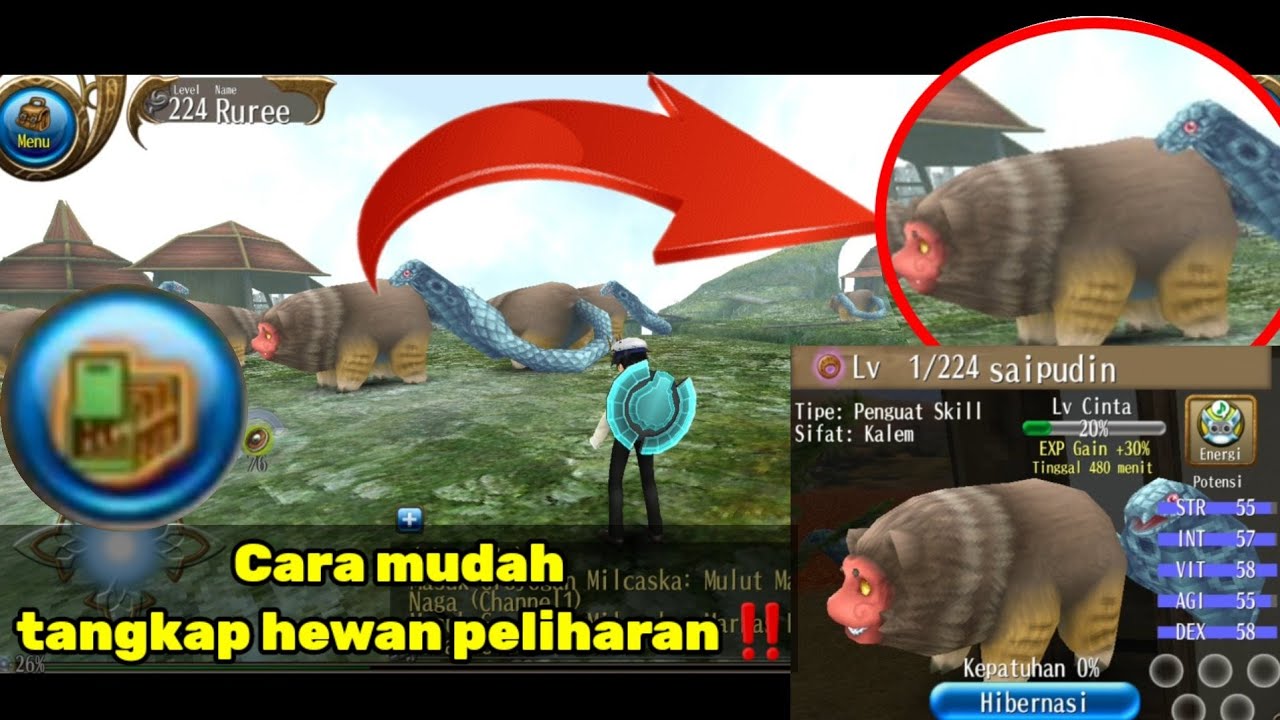cara tangkap pet / toram online pet guide - YouTube