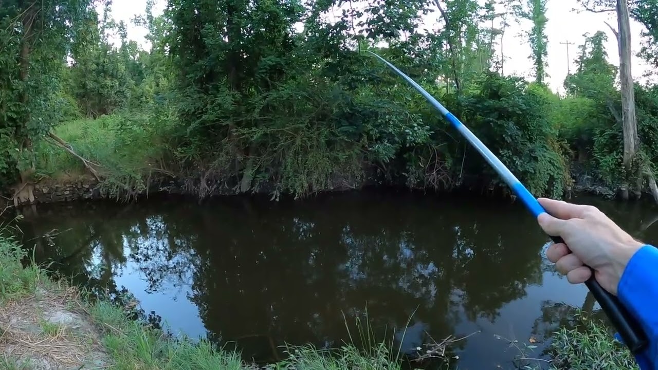 Survival Cane Pole Fishing And Review of a Rod Kit From Amazon - YouTube