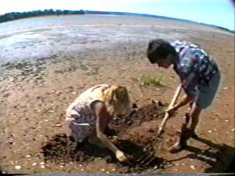 Digging Clams on the West River Prince Edward Island - YouTube