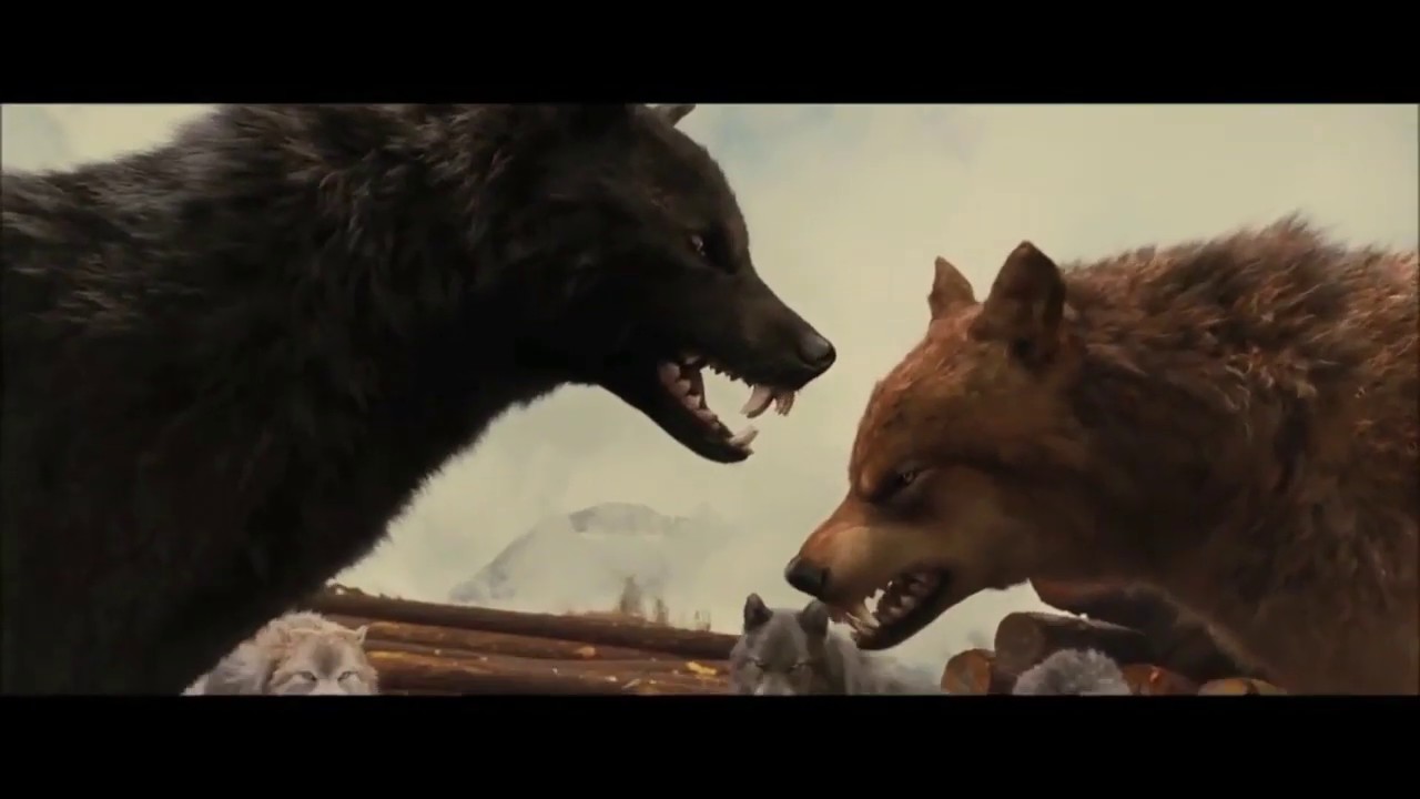 Werewolf Twilight Sam