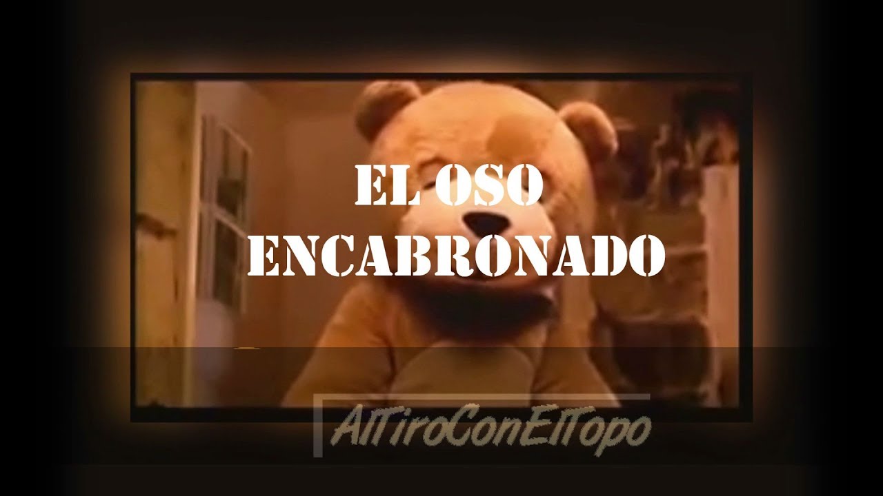 EL OSO ENCABRONADO (DOBLAJE) - YouTube