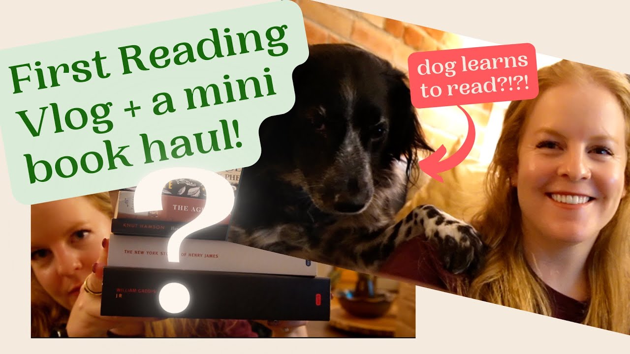 first reading vlog of 2023 + mini book haul! - YouTube