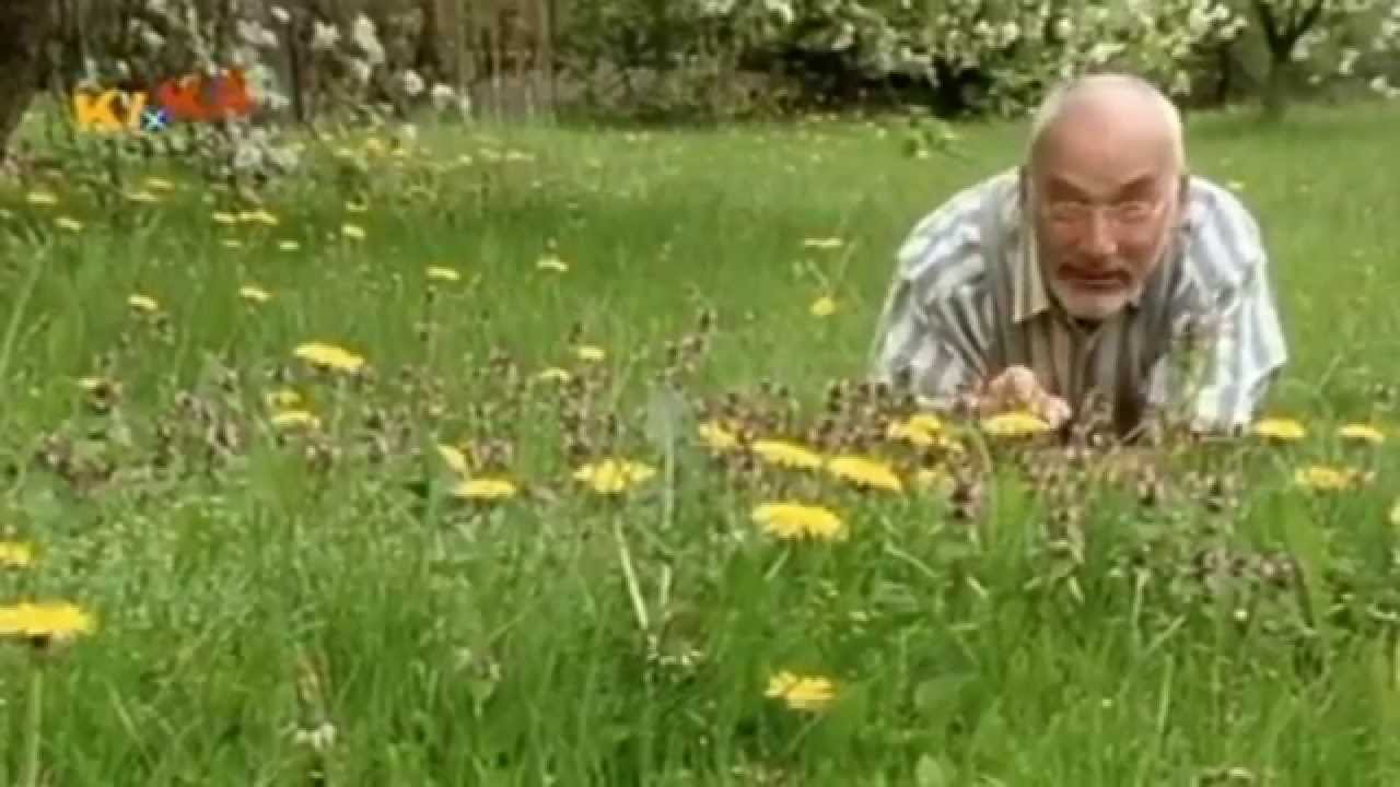 Löwenzahn 🌼 Staffel 12 Folge 2 - YouTube