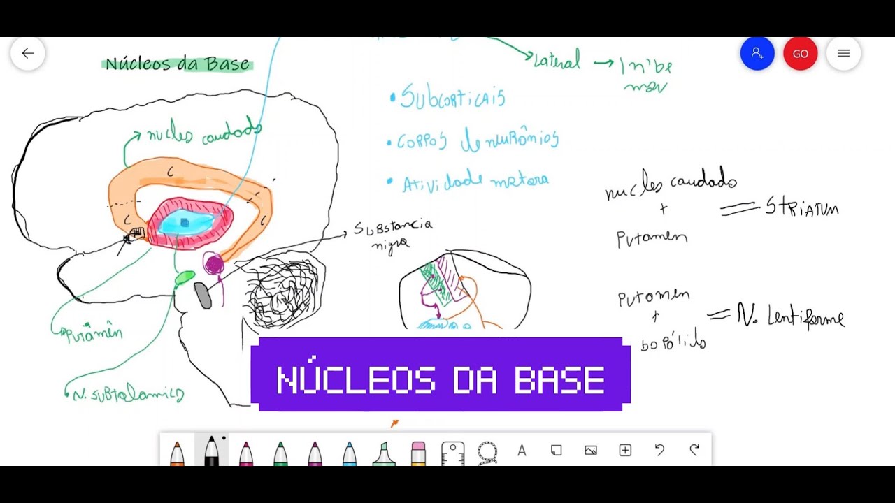 Núcleos da Base||| Introdução - YouTube