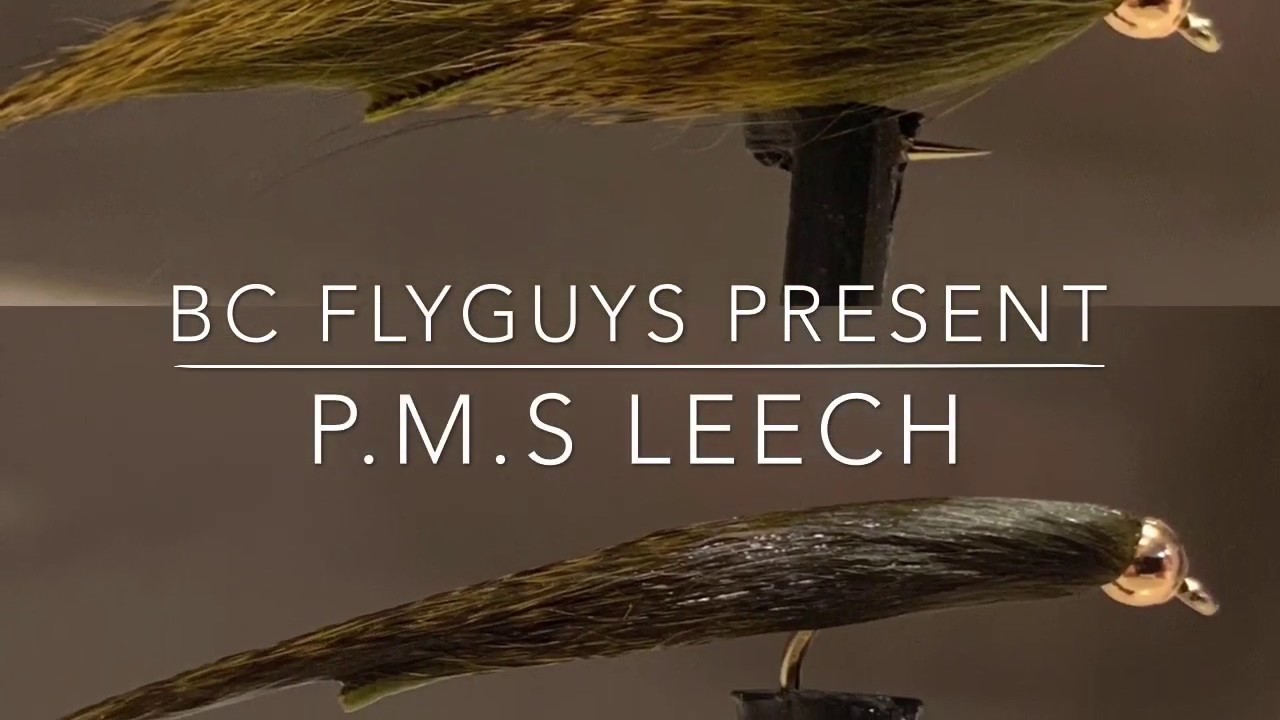 PMS Leech Fly Pattern - YouTube