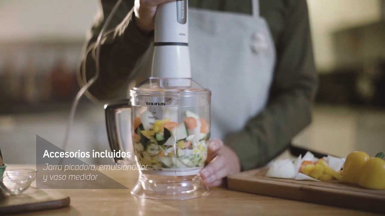 Batidora Picadora Bapi 1000 Plus Inox Taurus - Cris Abora - YouTube