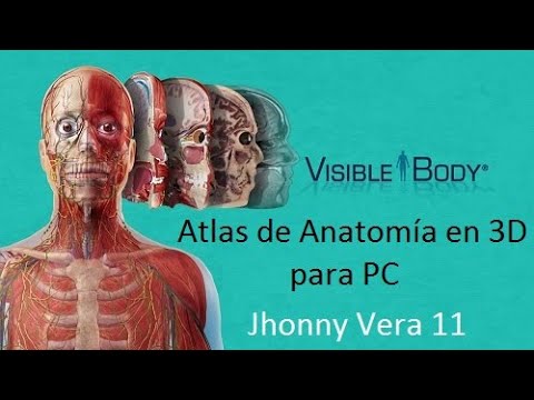 ATLAS VIRTUAL DE ANATOMÍA EN 3D PARA PC - YouTube