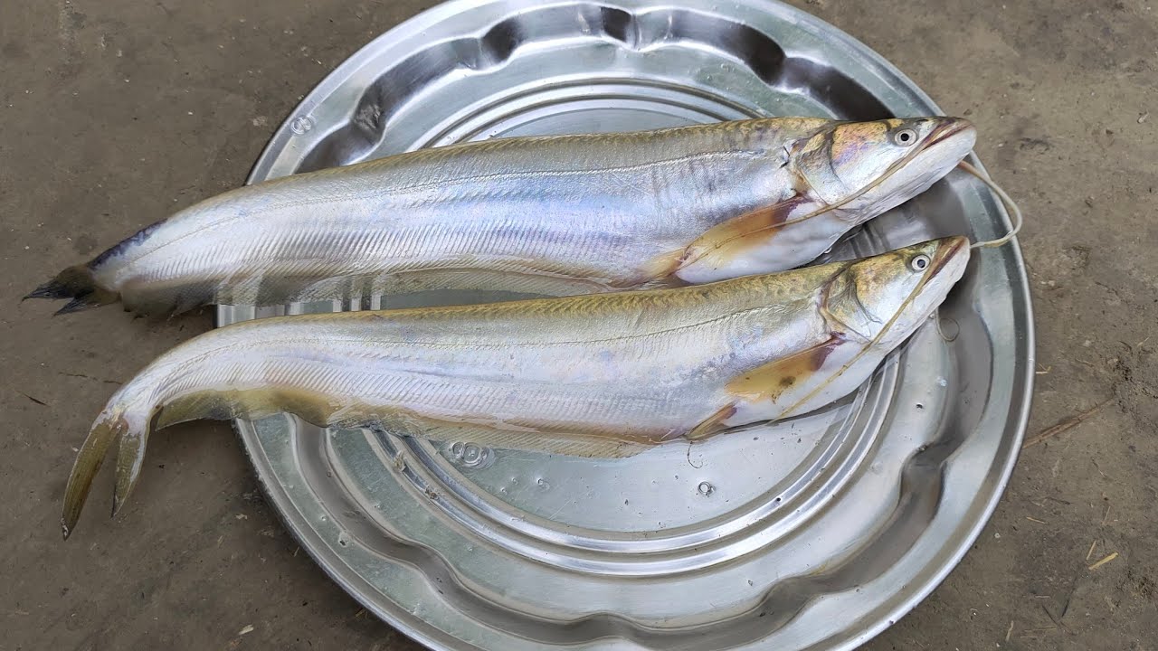 Barari Machhali Kaise Banaye ? Barari Fish Curry ||बरारी मछली || बरारी ...