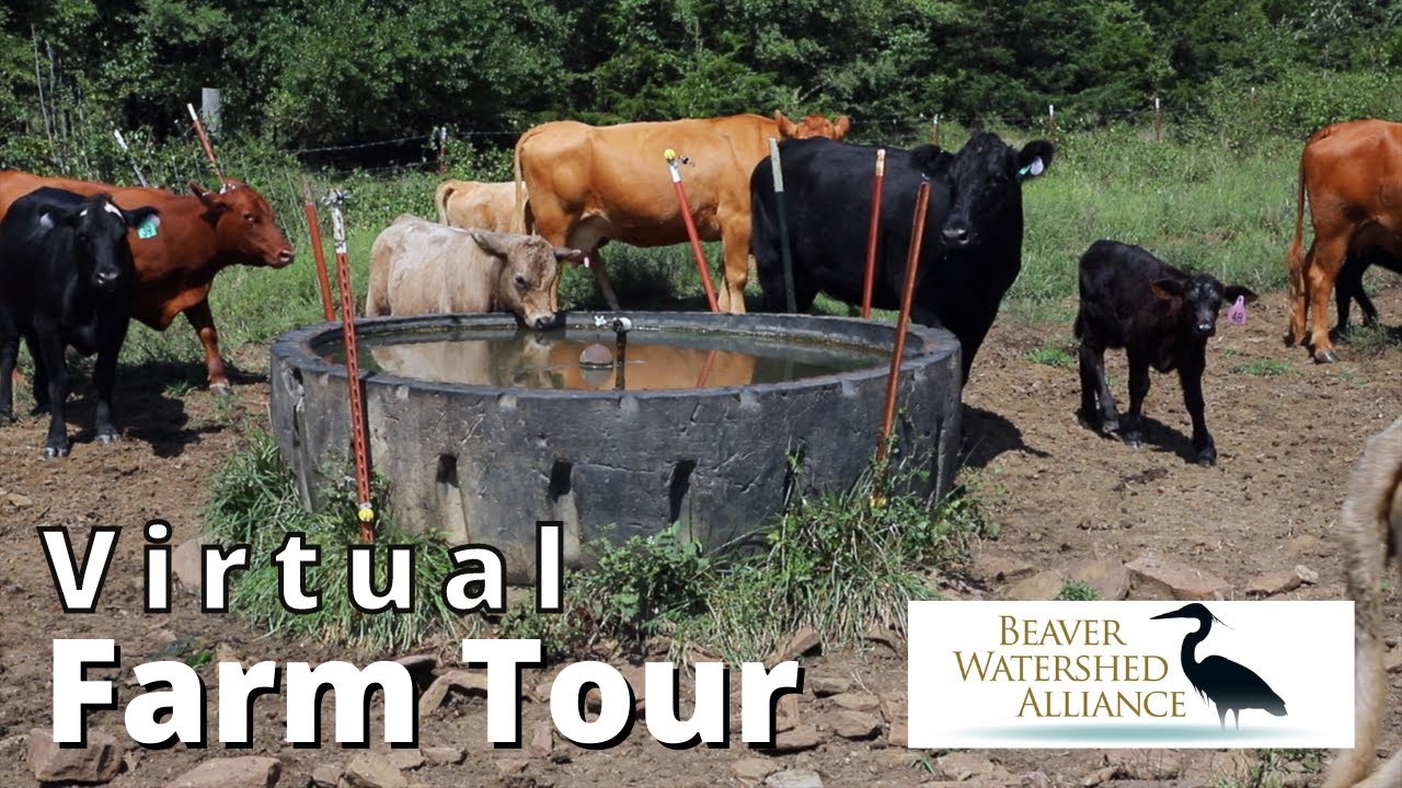 Alliance Virtual Farm Tour 2020 - YouTube