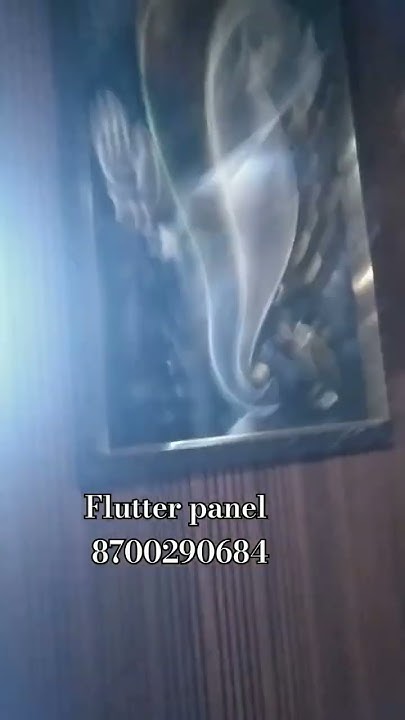 flutter panel - YouTube