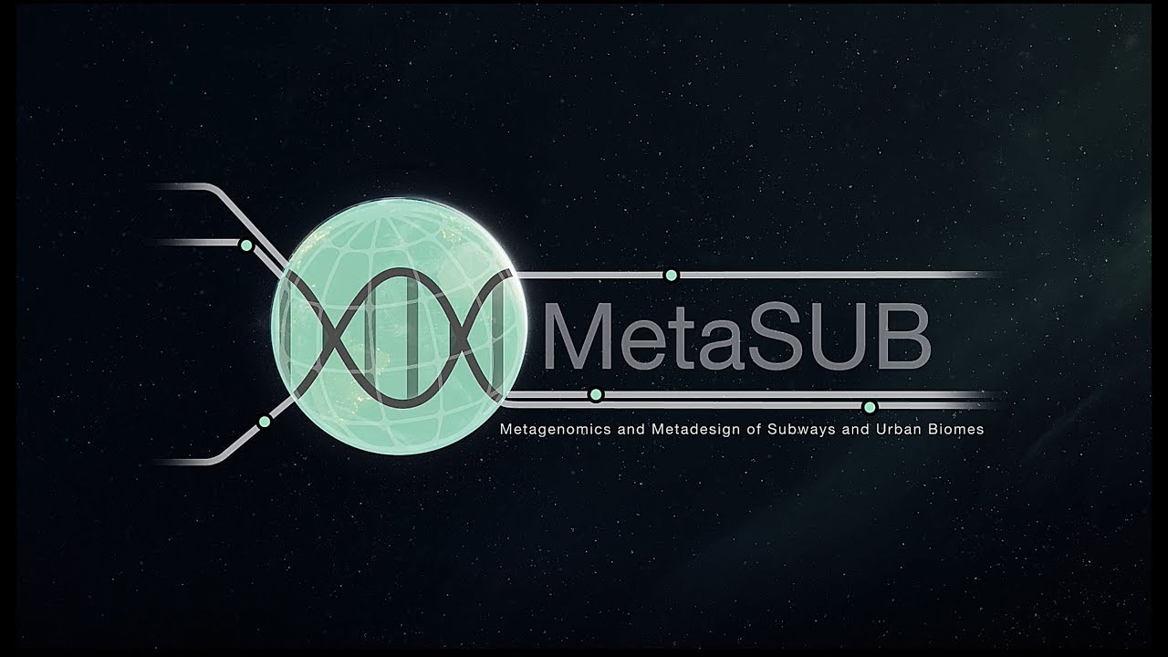 MetaSUB Introductory Video - YouTube