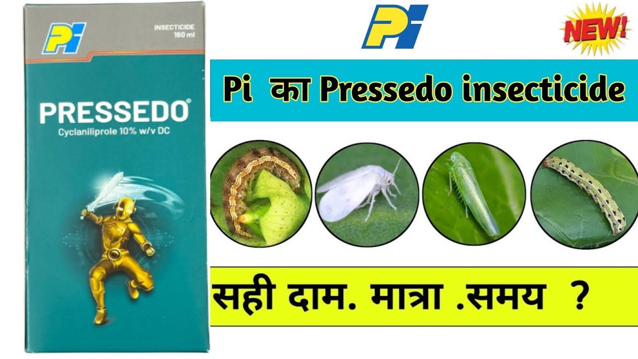 PI Pressedo insecticide || Cyclaniliprole 10% w/v DC || Pressedo ...