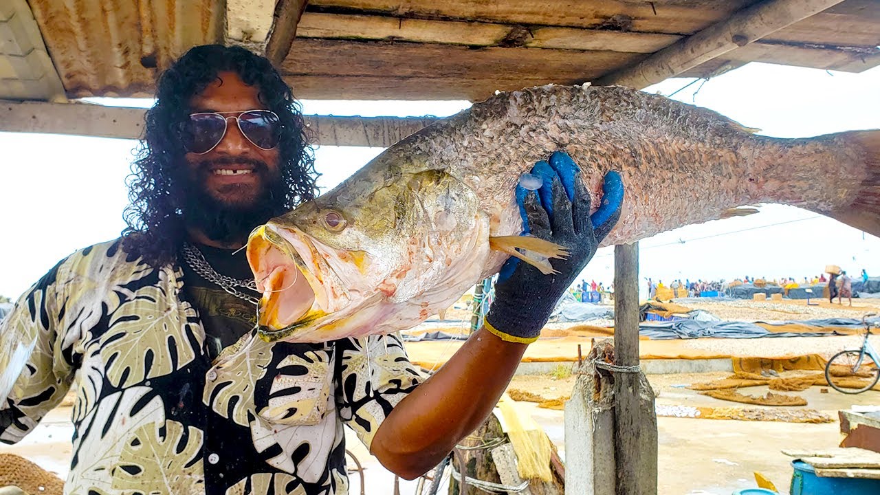 Huge SeaBass Cutting Skills | Fish Cutting Skills - YouTube