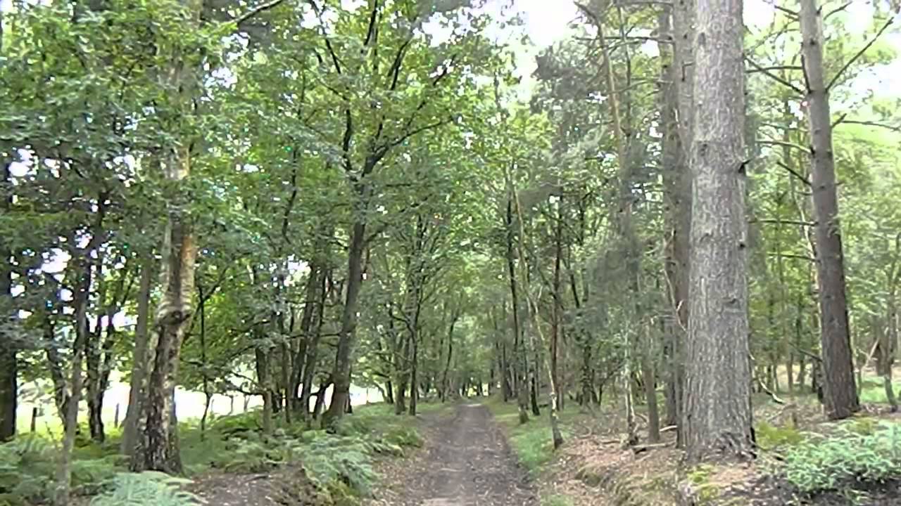 The Shipwrights Way: Liphook to Liss 19 August 2013 - YouTube