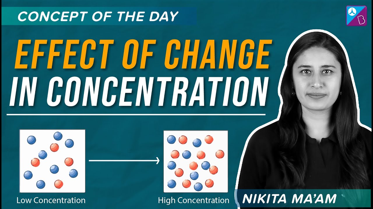 Effect of Change in Concentration on Equilibrium Class 11 Chemistry ...