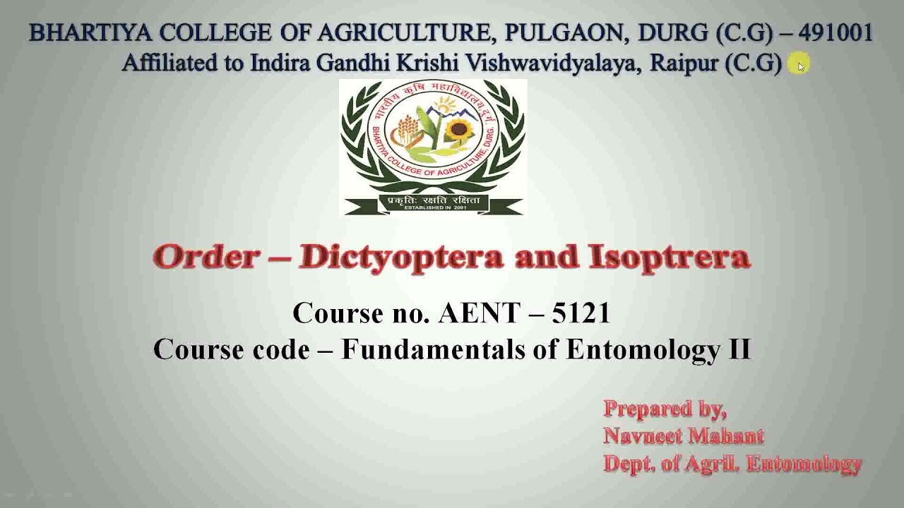 Order Dictyoptera and Isoptera By Navneet Mahant - YouTube