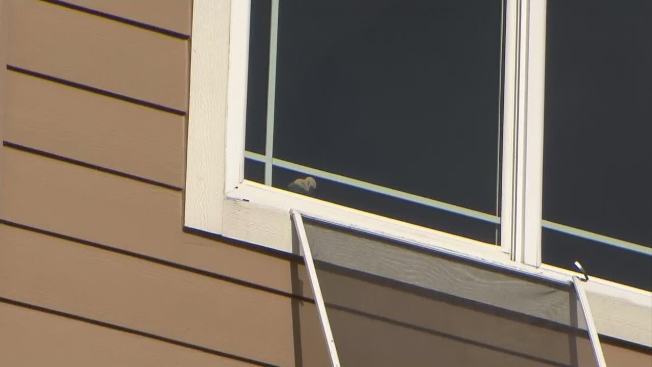 Beaverton girl falls out of 2nd story window - YouTube