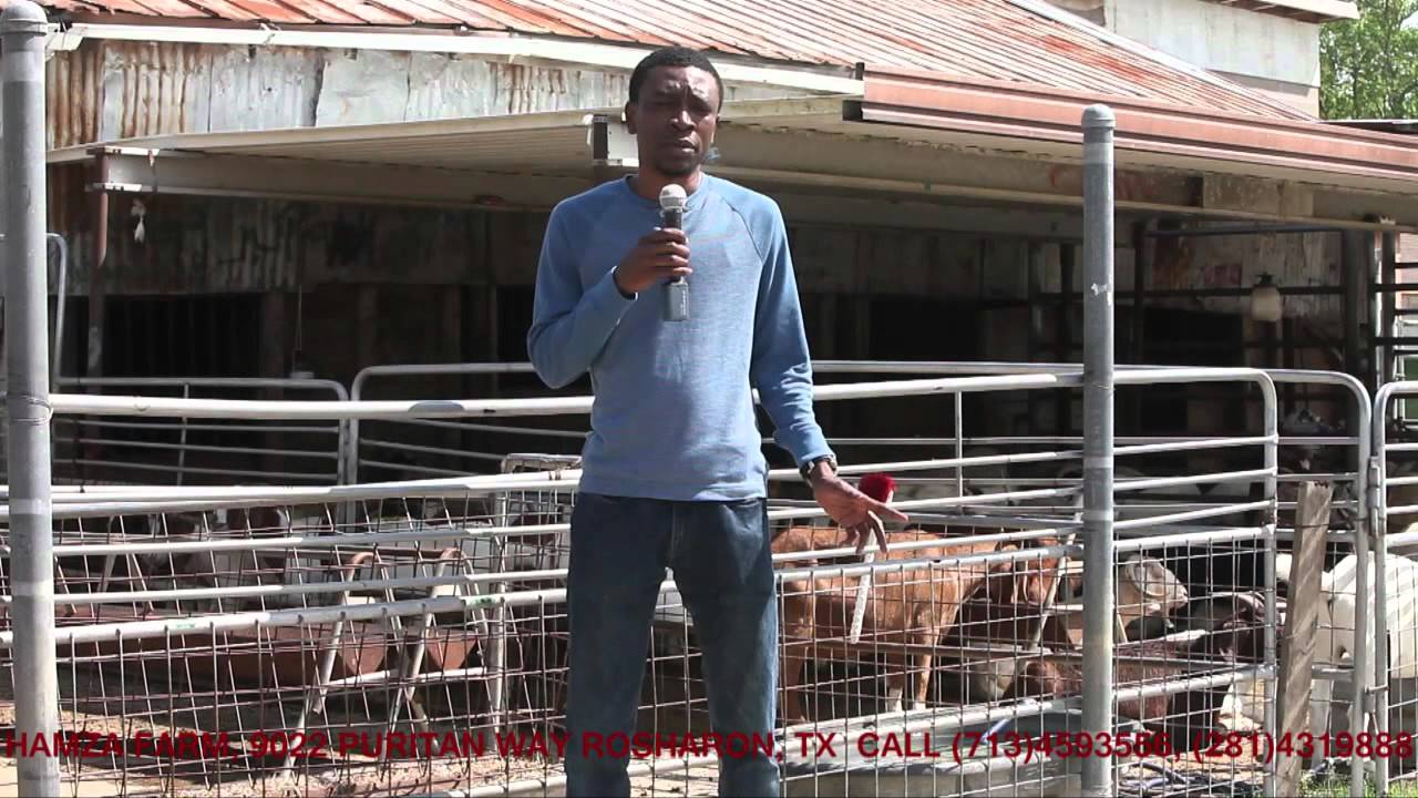 Testimonial 4 - Hamza Farm - YouTube