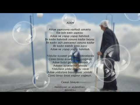Cemal Süreya / Adam