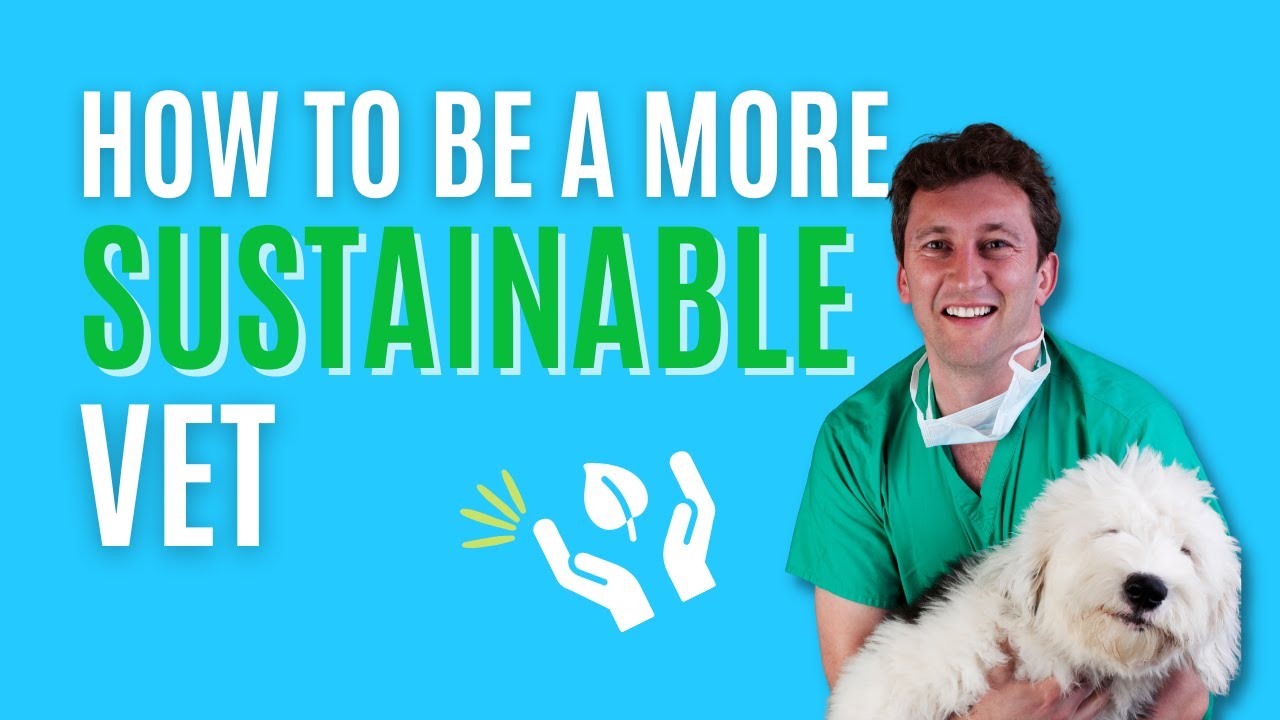 How YOU Can Be More Sustainable In The Veterinary Profession - YouTube