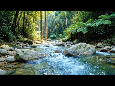 Deep Calm Instantly – River Sound in Forest – Anxiety Relief