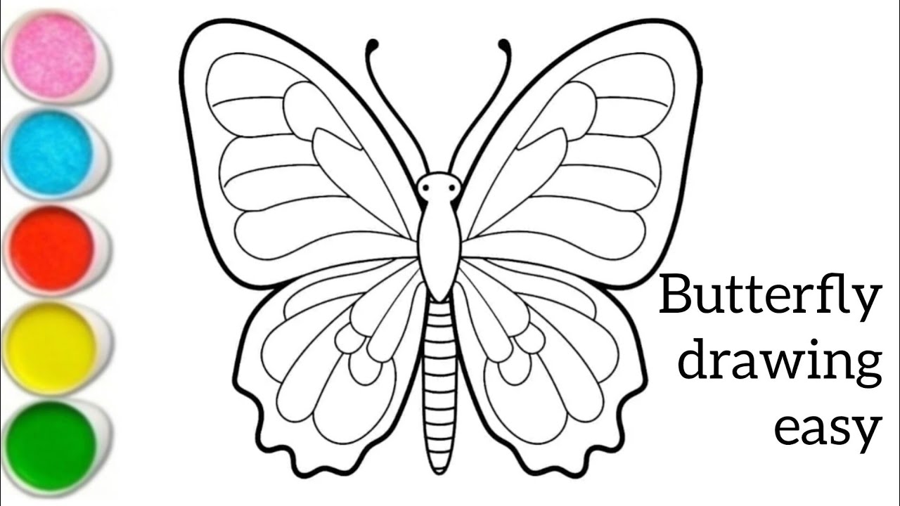 How to draw a Butterfly | Butterfly Drawing step by step | Educational ...