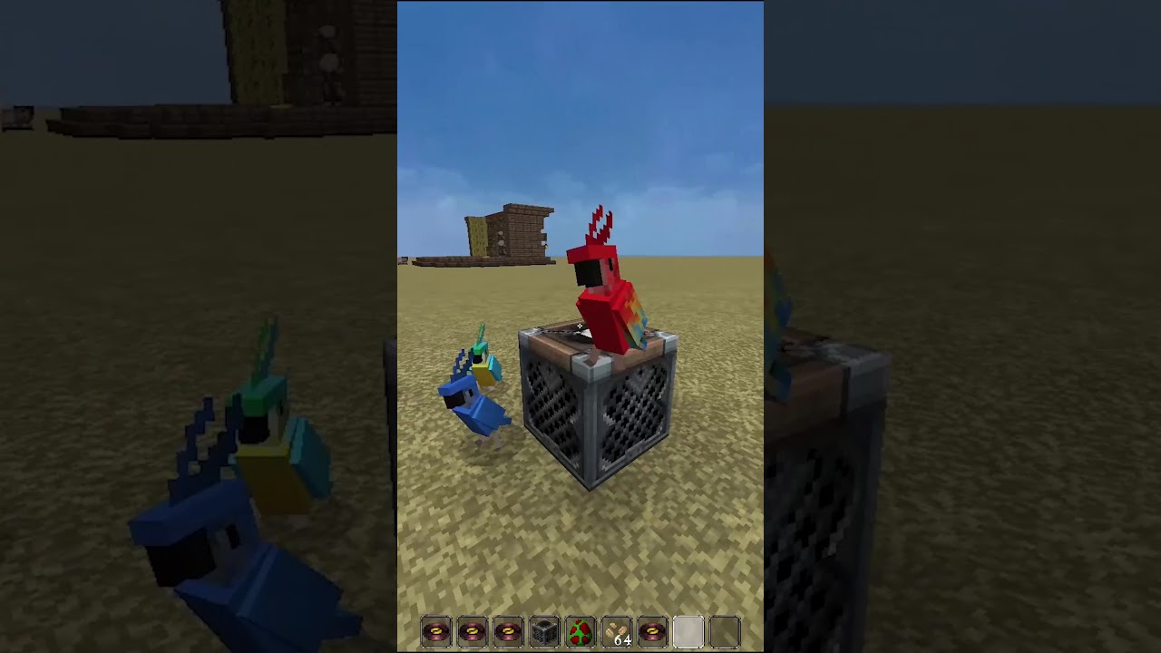 Minecraft parrots dancing to Sports Day Riddim song - YouTube