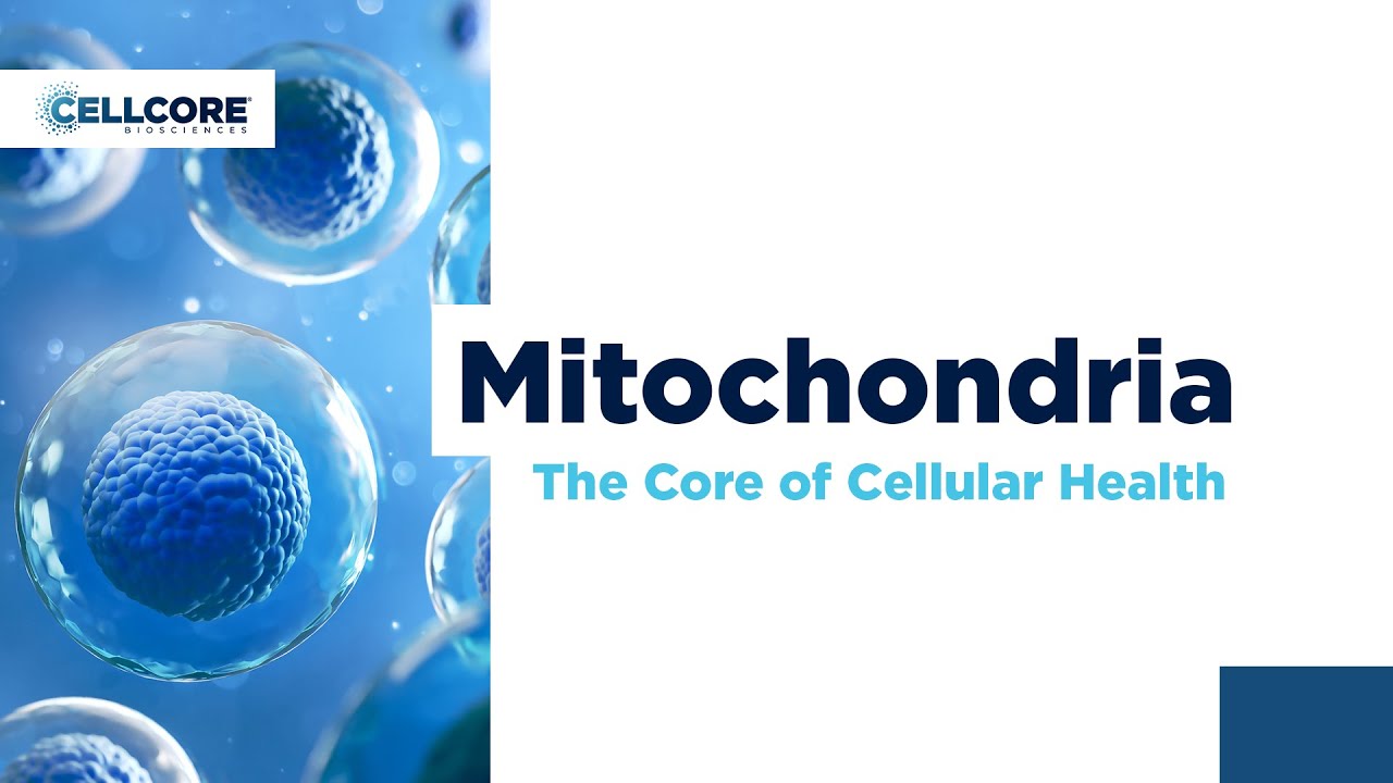 The Core of Cellular Health: Mitochondria | CellCore Biosciences - YouTube