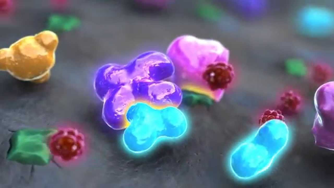 Mechanism of Action (MoA) 3D Medical Animation - YouTube