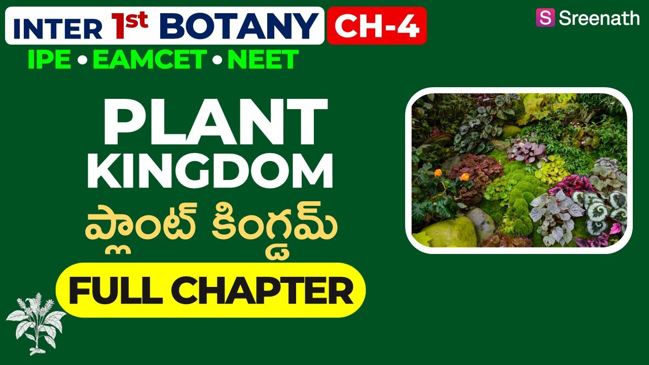 Plant Kingdom: Full Chapter in తెలుగు | TS/AP Inter 1st Year Botany ...