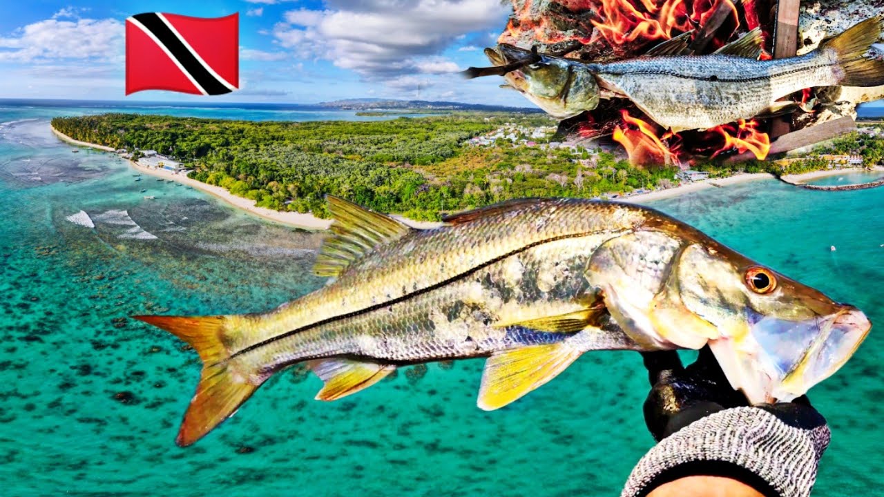 Catch and Cook on the Beach Tobago Fishing 🇹🇹 - YouTube