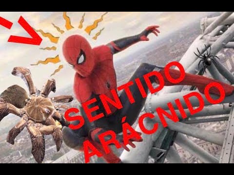 ¿De donde viene el SENTIDO ARÁCNIDO? ¿¡Sentido arácnido en la VIDA REAL ...