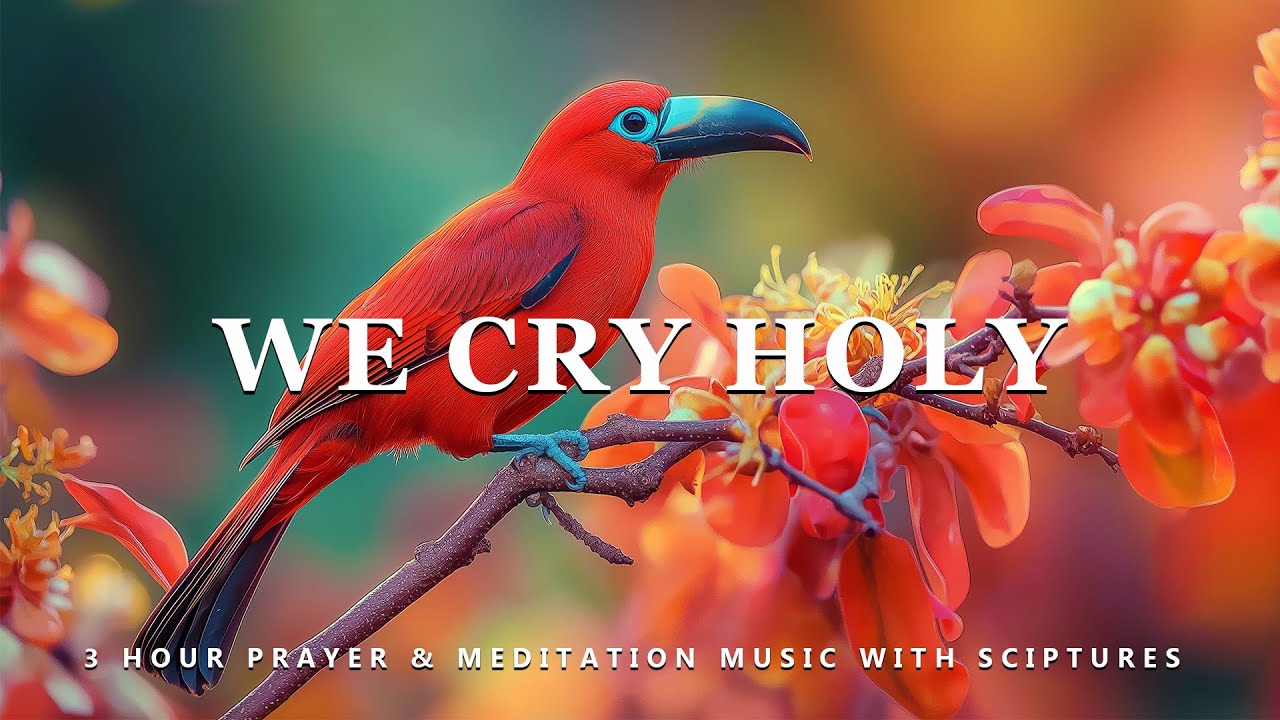 We Cry Holy: Instrumental Worship and Scriptures with Birds 🕊 Peaceful ...