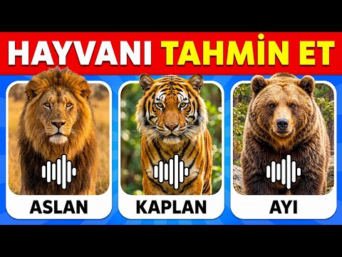 Sesinden Hayvanı Tahmin Et 🐶🦁🔊 | 40 Hayvan Sesi Yarışması