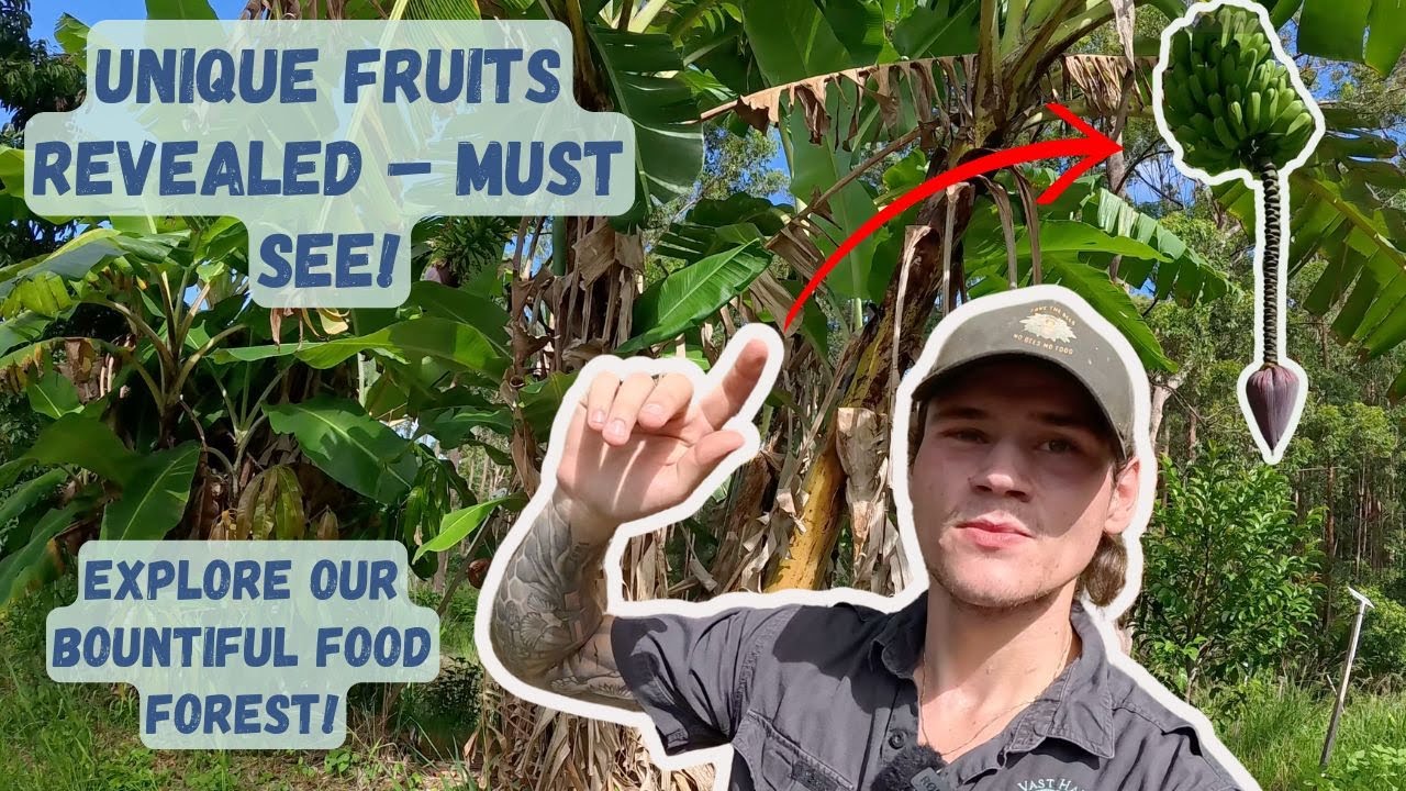 Seasonal Spotlight: A Tour of Our Food Forest’s Fruiting Plants - YouTube