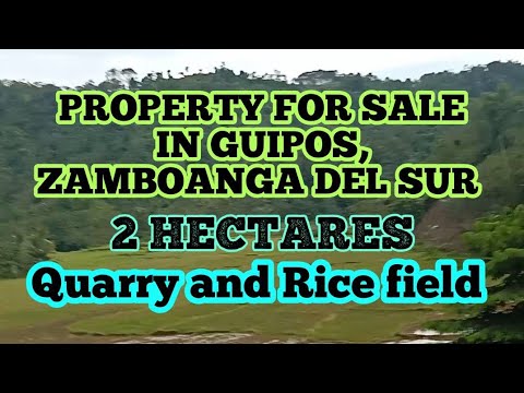 @jopax7576 (Property# 22 ) For Sale 2.6 hectares Quarry and Rice field ...