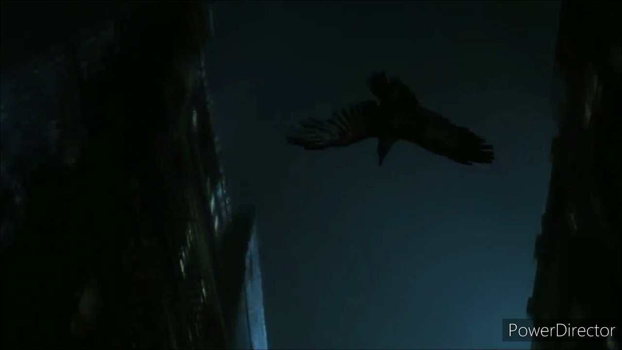 The Crow / Dark City - Eric Draven / John Murdoch ... - Crossover ...