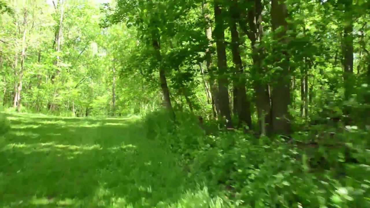 Central Ohio Hunters Paradise and Ideal For Those Who Love The Outdoors ...