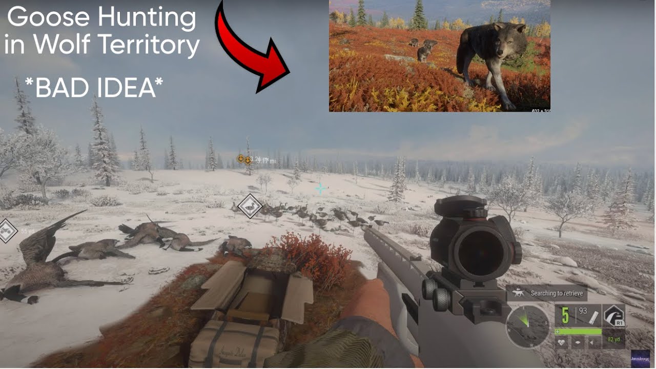 Goose Hunting in WOLF TERRITORY - YouTube