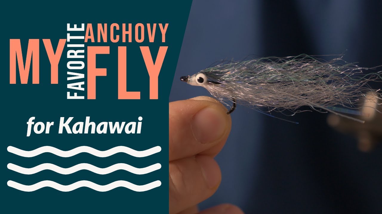 My favorite anchovy fly for Auckland Kahawai - YouTube